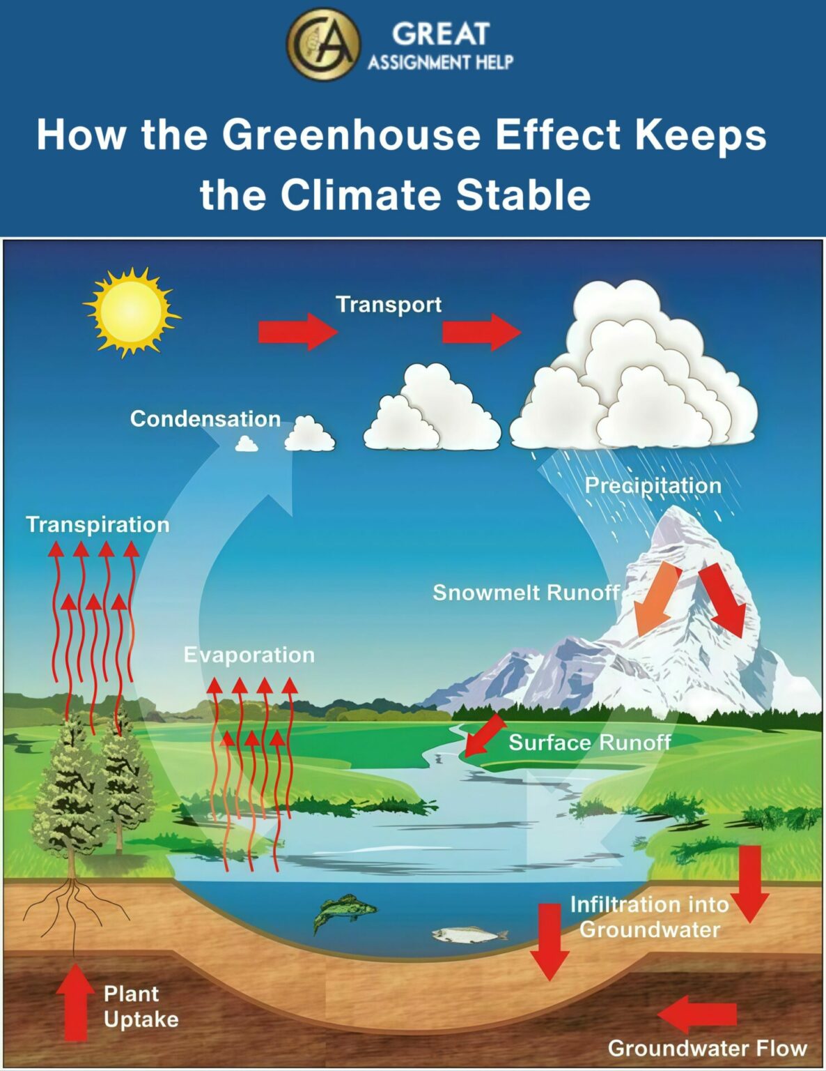 Understanding the Greenhouse Effect and Its Positive Impacts